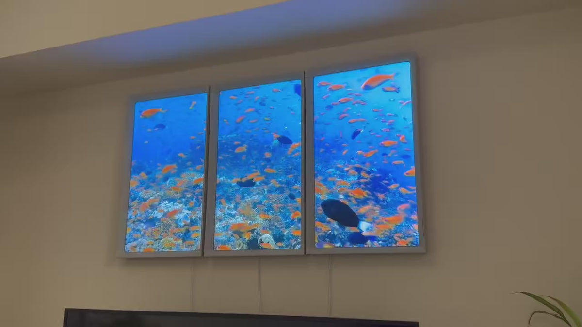 Atmoph Window Yo (x5 set) + Scope – Atmoph Store